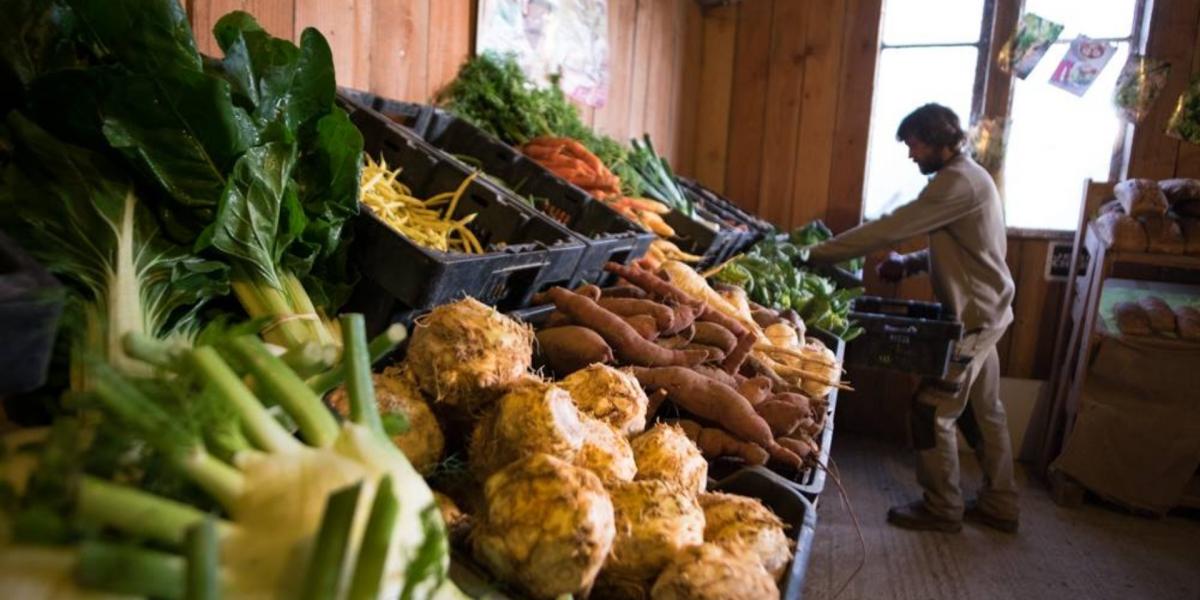 Producteurs locaux et vente à la ferme | Rochefort-en-Terre Tourisme ...