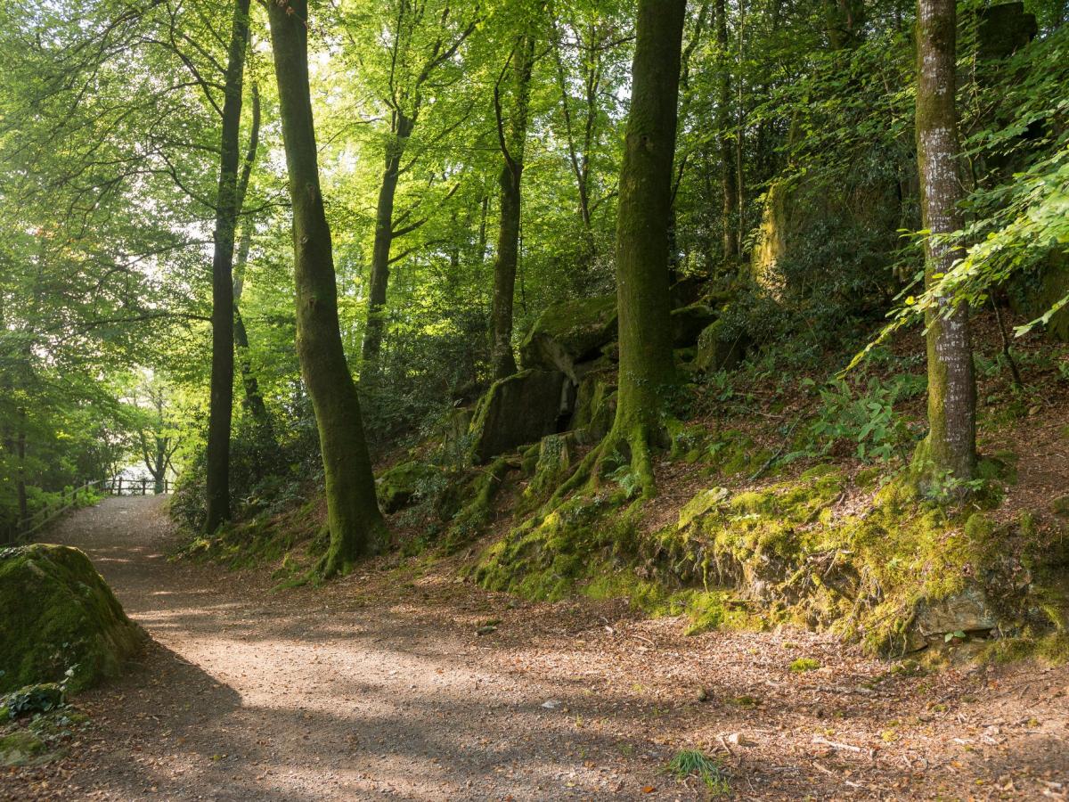 Le site du Moulin Neuf | Rochefort-en-Terre Tourisme