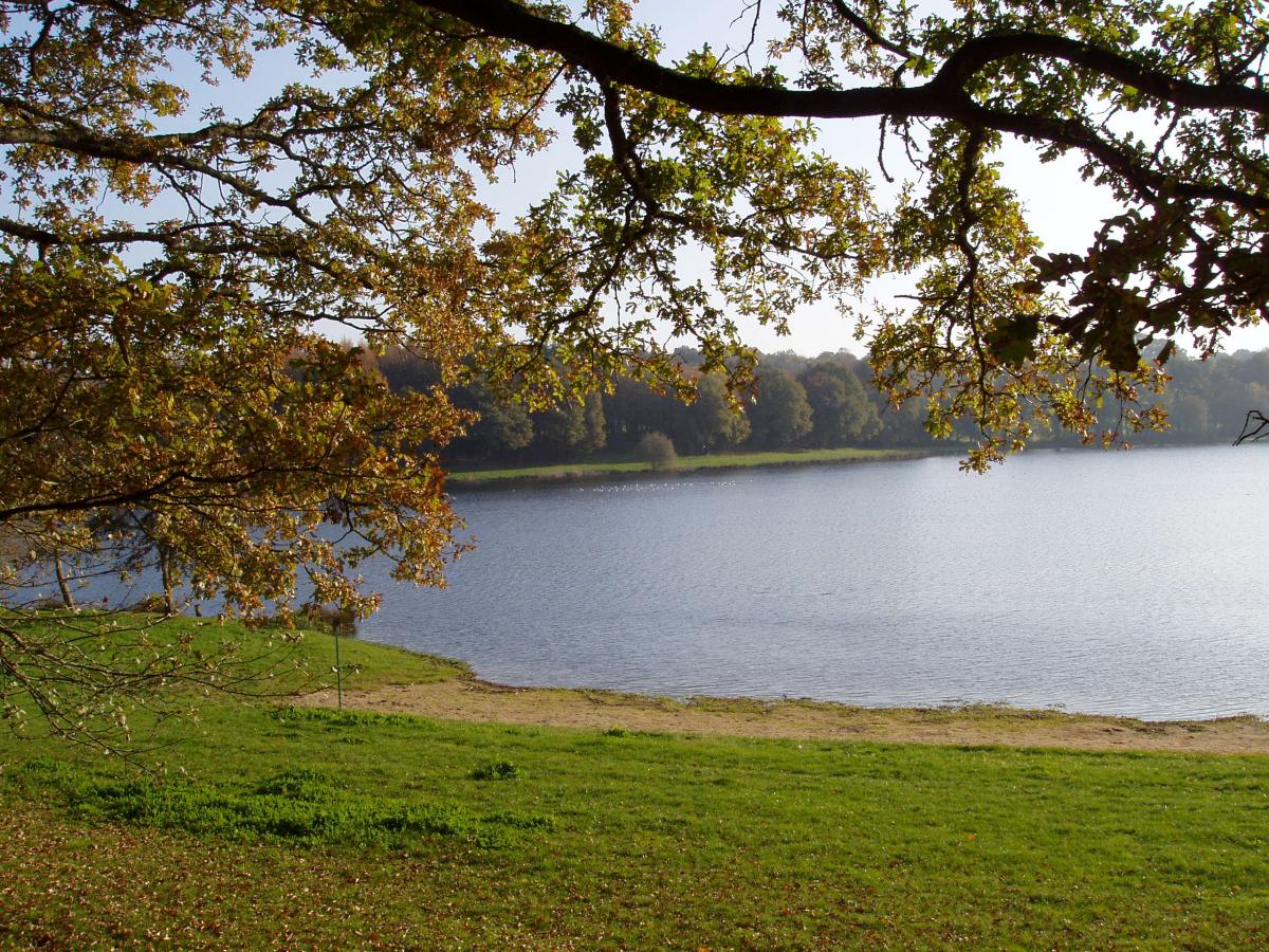 Le site du Moulin Neuf | Rochefort-en-Terre Tourisme