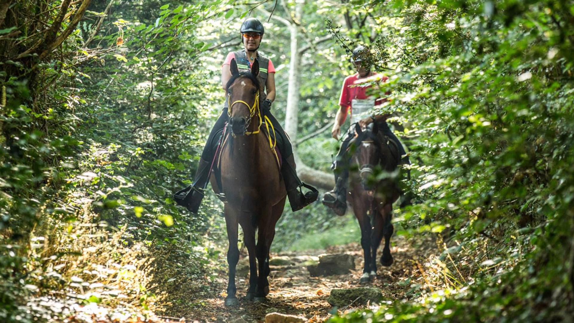 Equestrian leisure activities | Rochefort-en-Terre Tourism