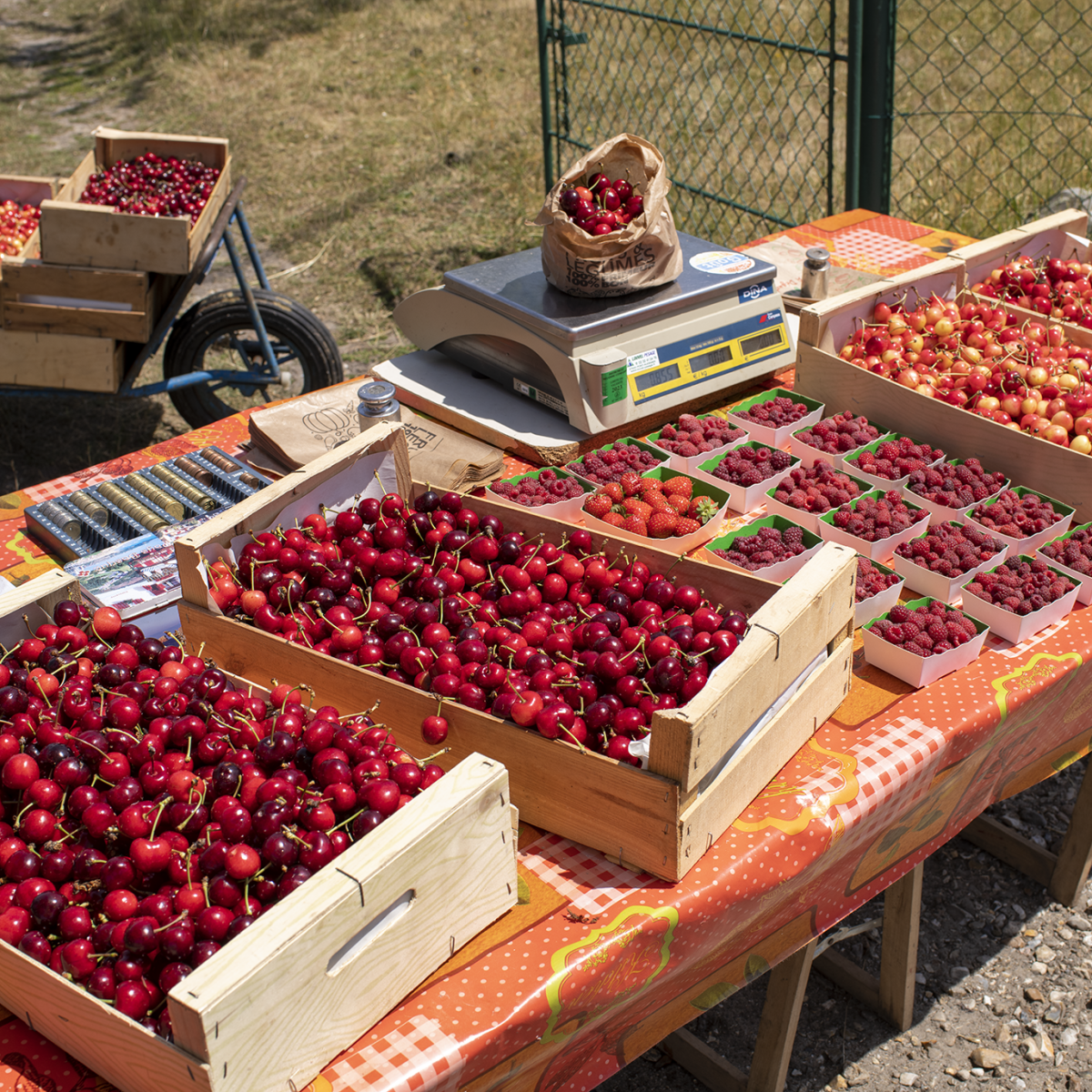 The fruit road by bike