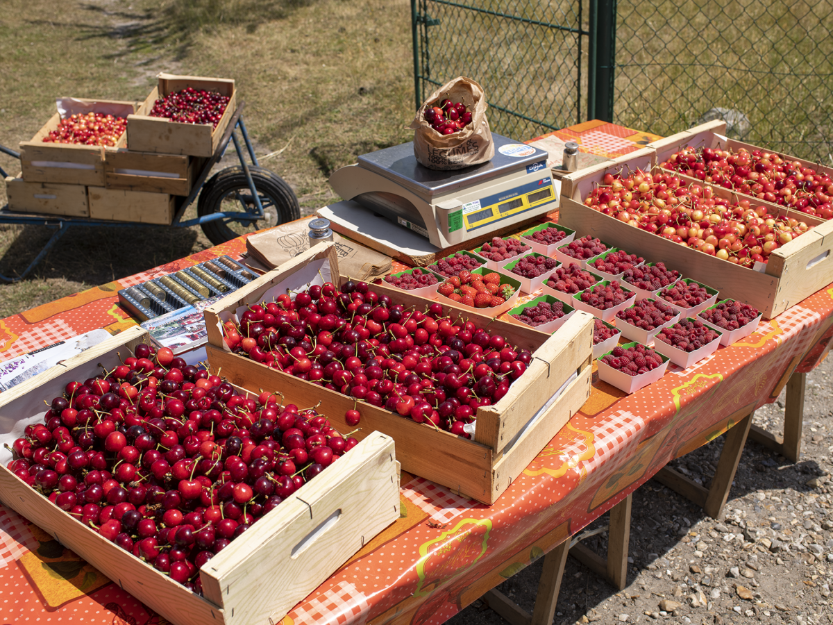 The fruit road