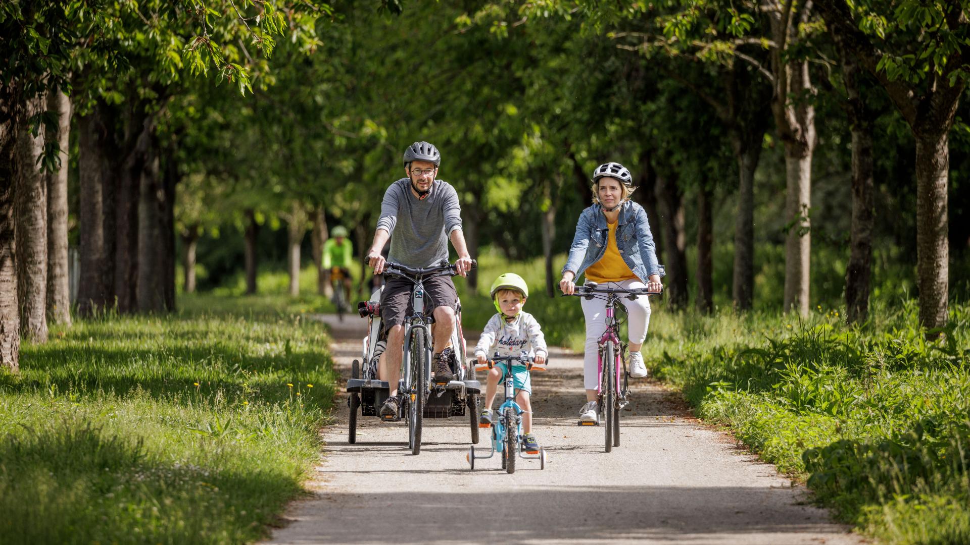 Aïda en Direct : Spectacle Lyrique Gratuit à Rouen