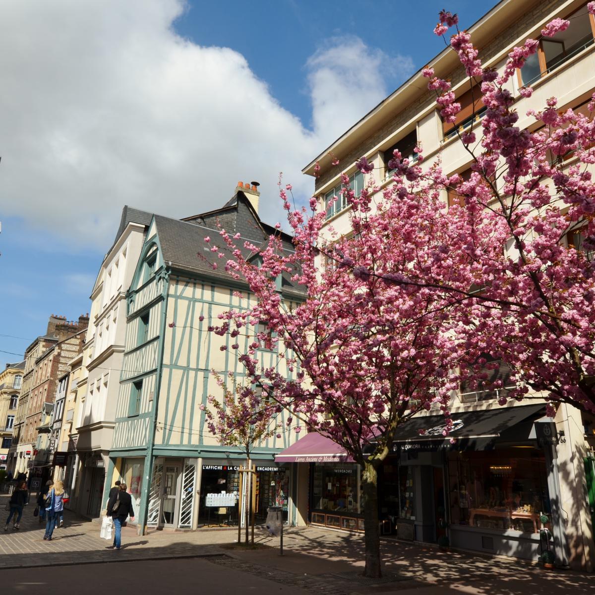 The most beautiful streets in Rouen