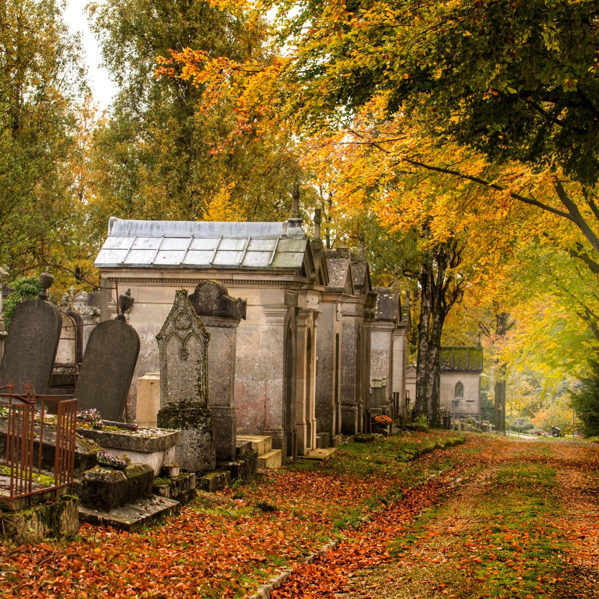 Nos conseils et bons plans pour visiter Rouen en 5 jours