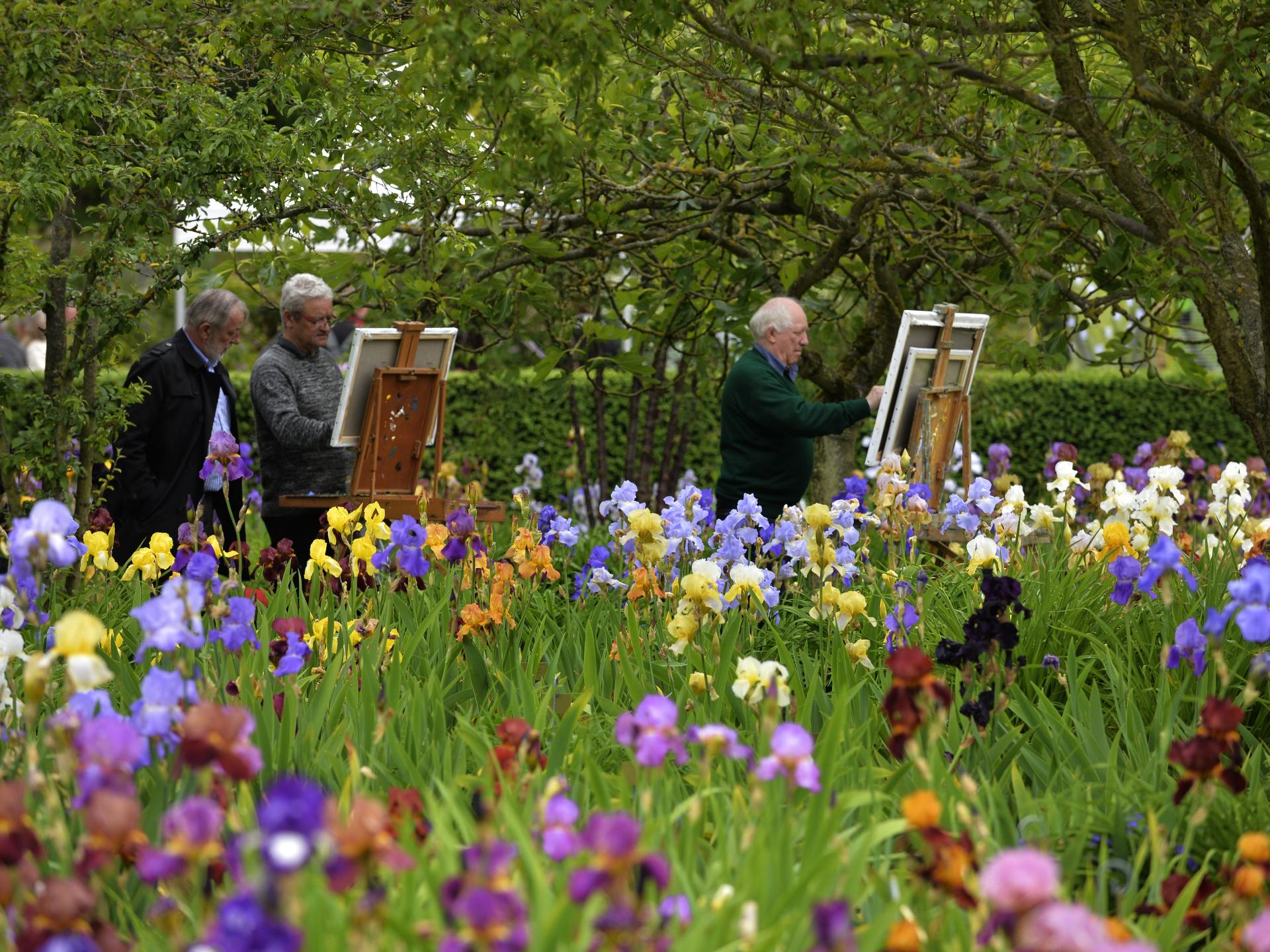 To the rhythm of the highlights | Rouen Tourisme