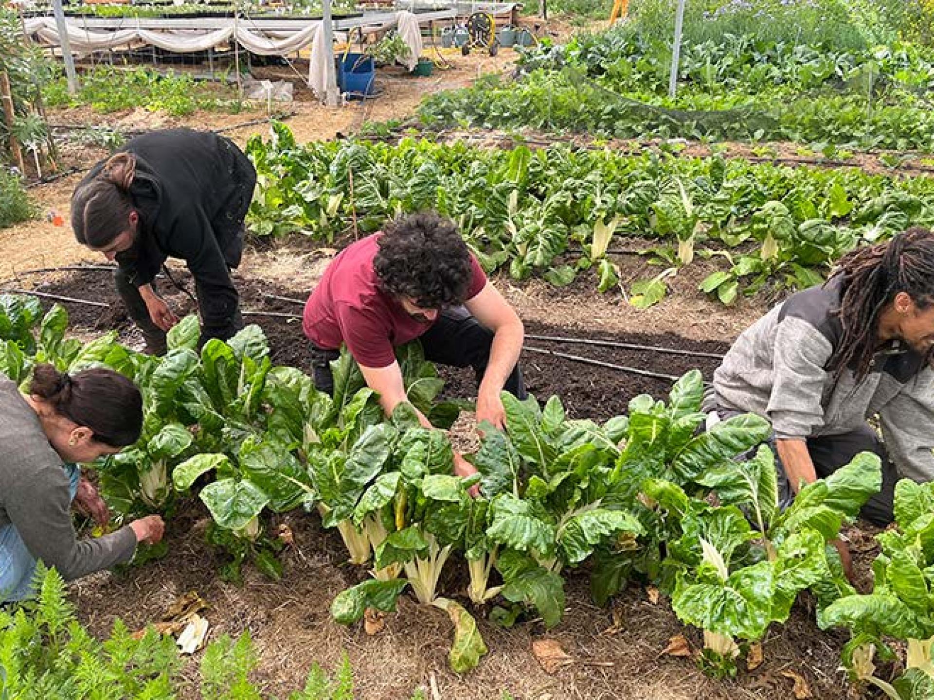 Le festival d’architecture Zig Zag Le festival d’architecture Zig Zag | à Rouen Rouen Tourisme