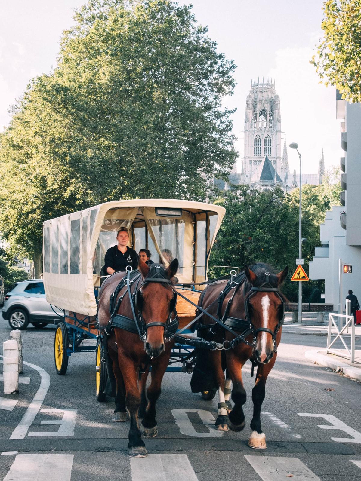Que faire pendant les vacances à Rouen ? Que faire pendant les vacances ...