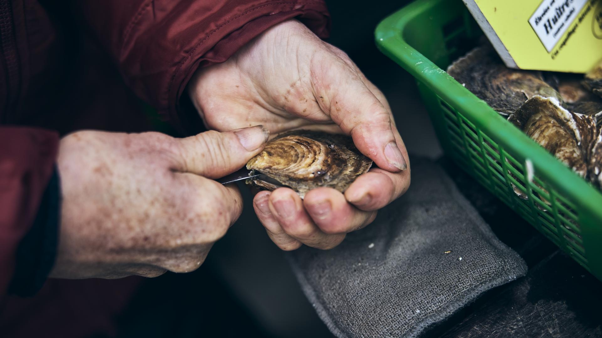 Les Huîtres de Cancale | Saint-Malo – Baia di Mont-Saint-Michel – Turismo