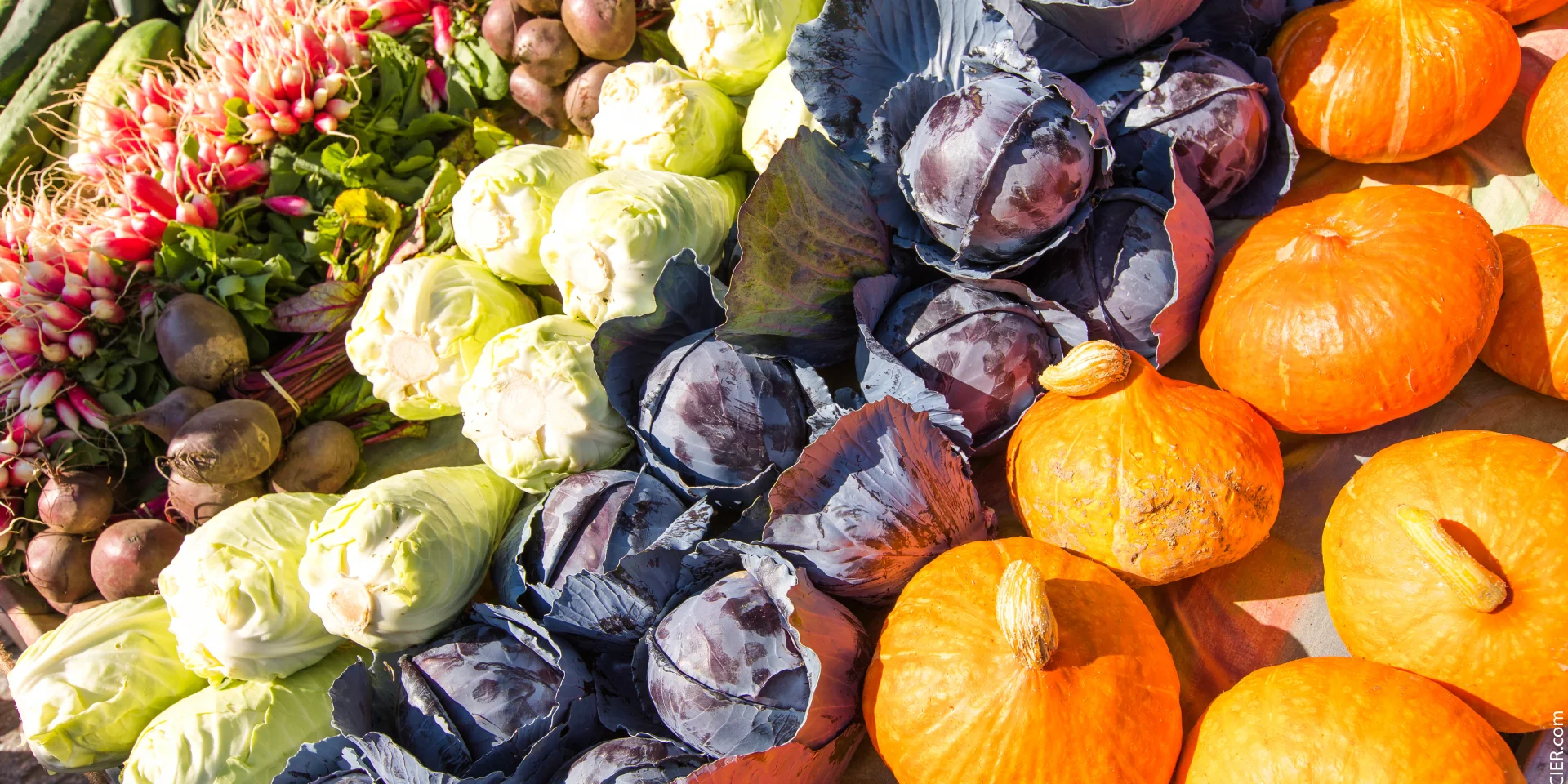 Marchés autour de Saint-Malo et les bords de Rance | Saint-Malo – Baie ...