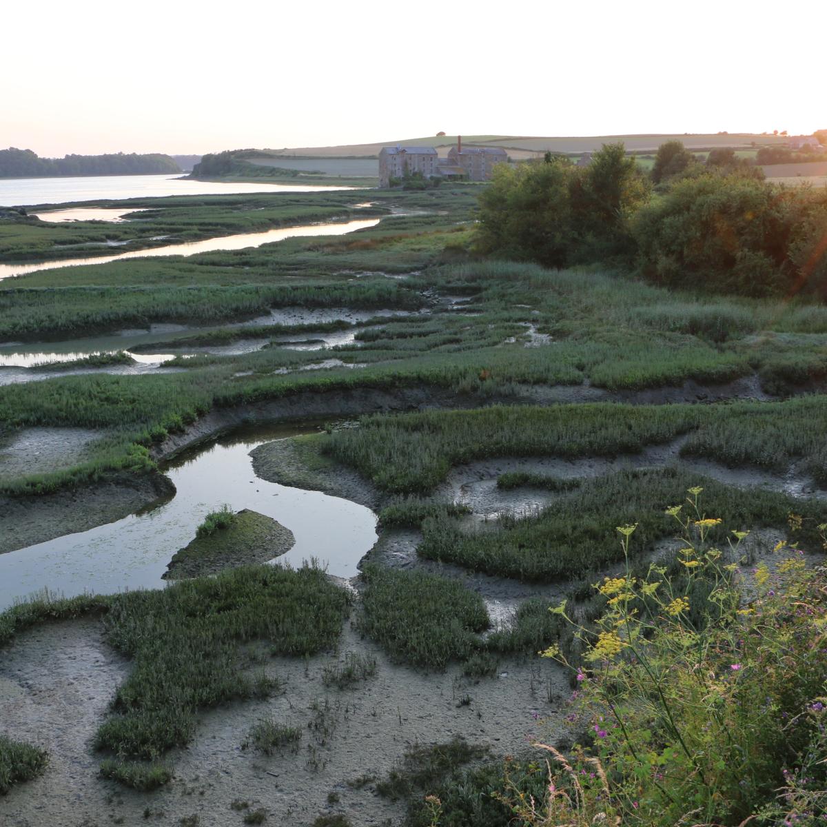 Die unumgänglichen Sehenswürdigkeiten der Joyaux de la Rance | Saint ...