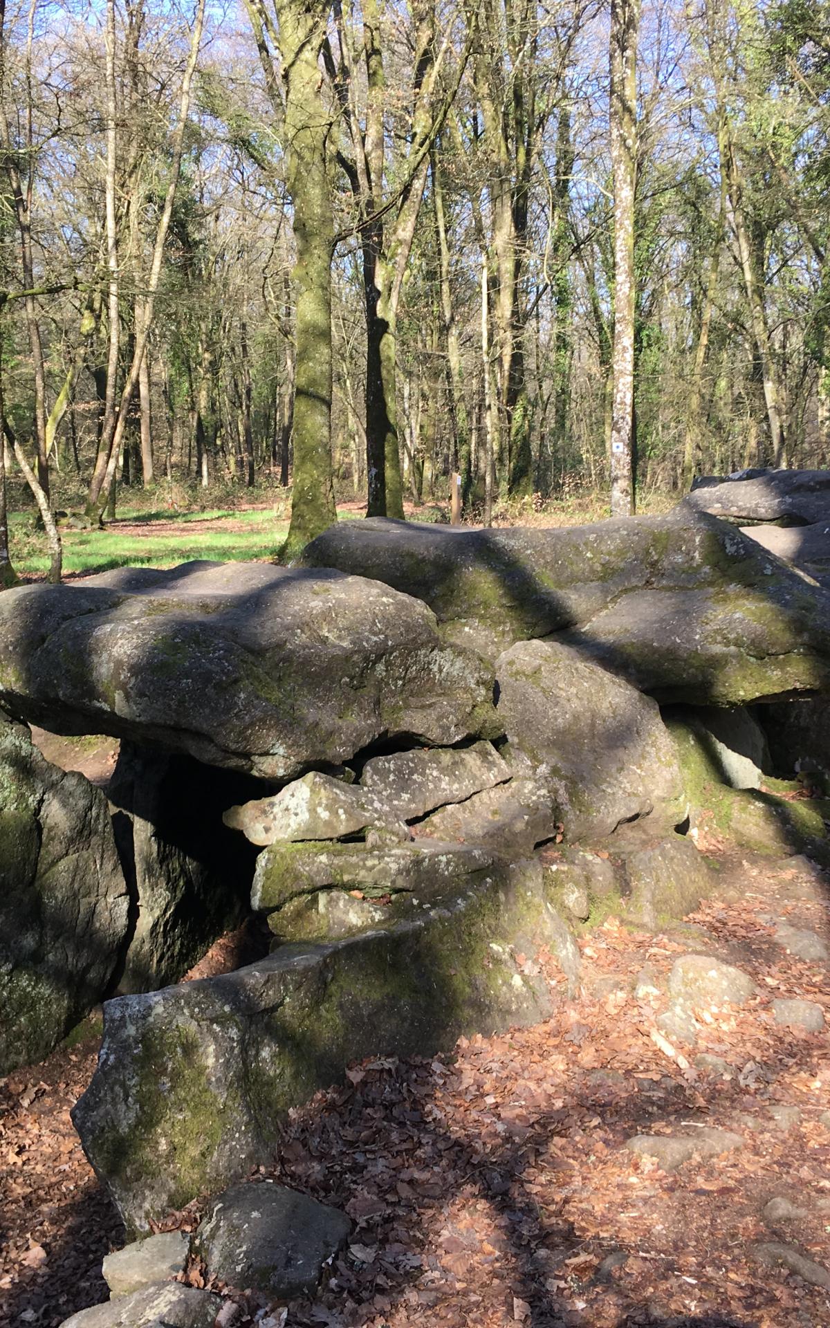 Covered walkway in the Mesnil forest | Saint-Malo – Mont-Saint-Michel ...