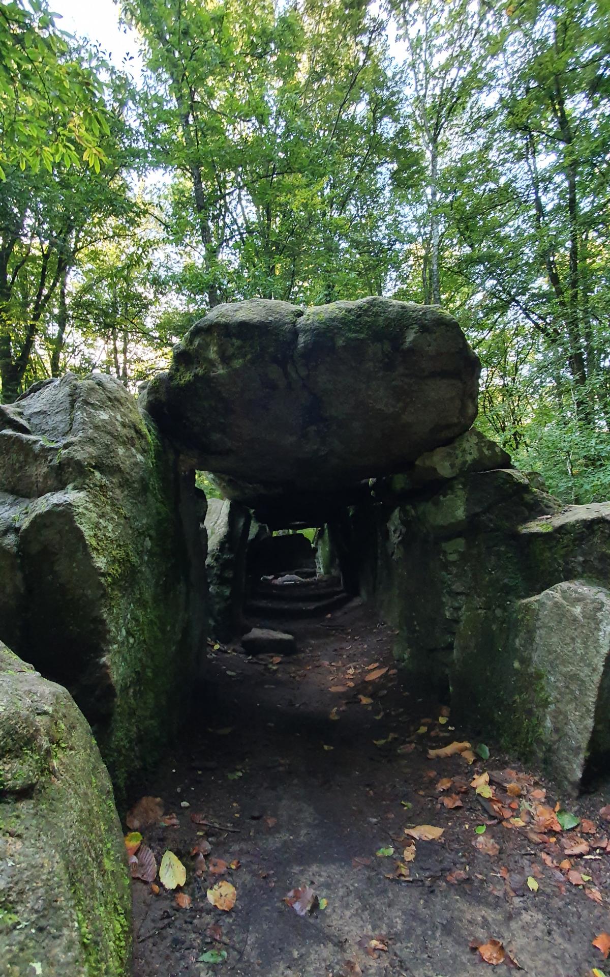 Allée couverte dans la forêt du Mesnil | Saint-Malo – Baie du Mont ...