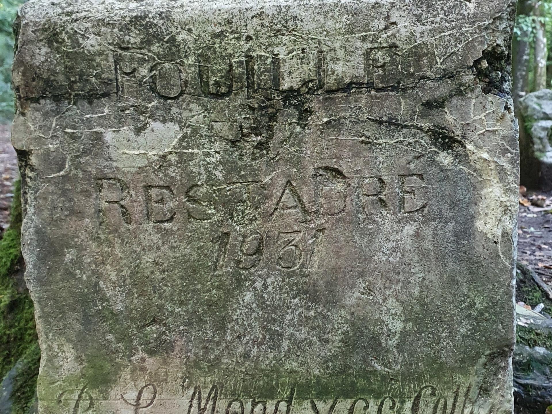 Covered walkway in the Mesnil forest | Saint-Malo – Mont-Saint-Michel ...