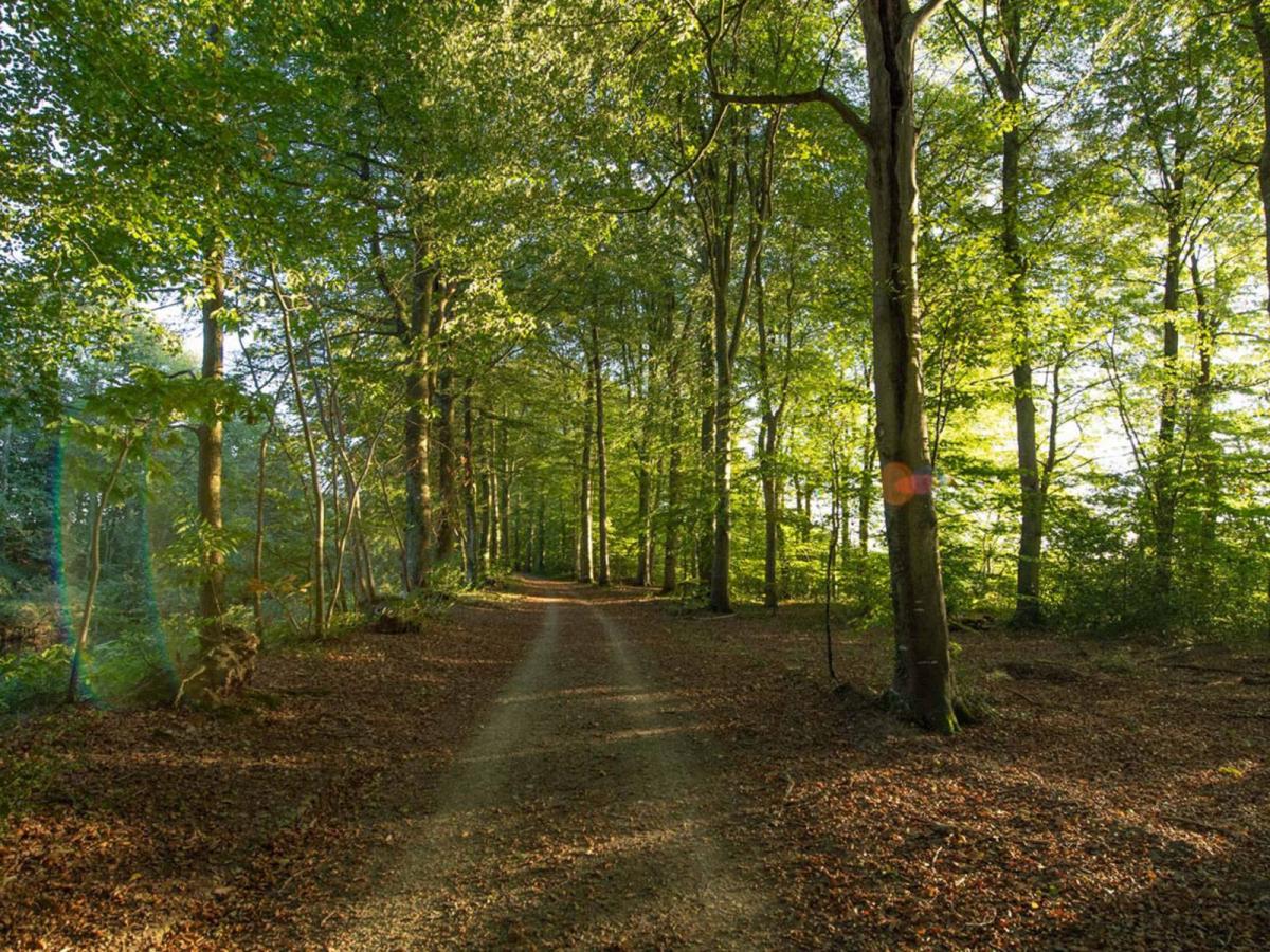 Covered walkway in the Mesnil forest | Saint-Malo – Mont-Saint-Michel ...