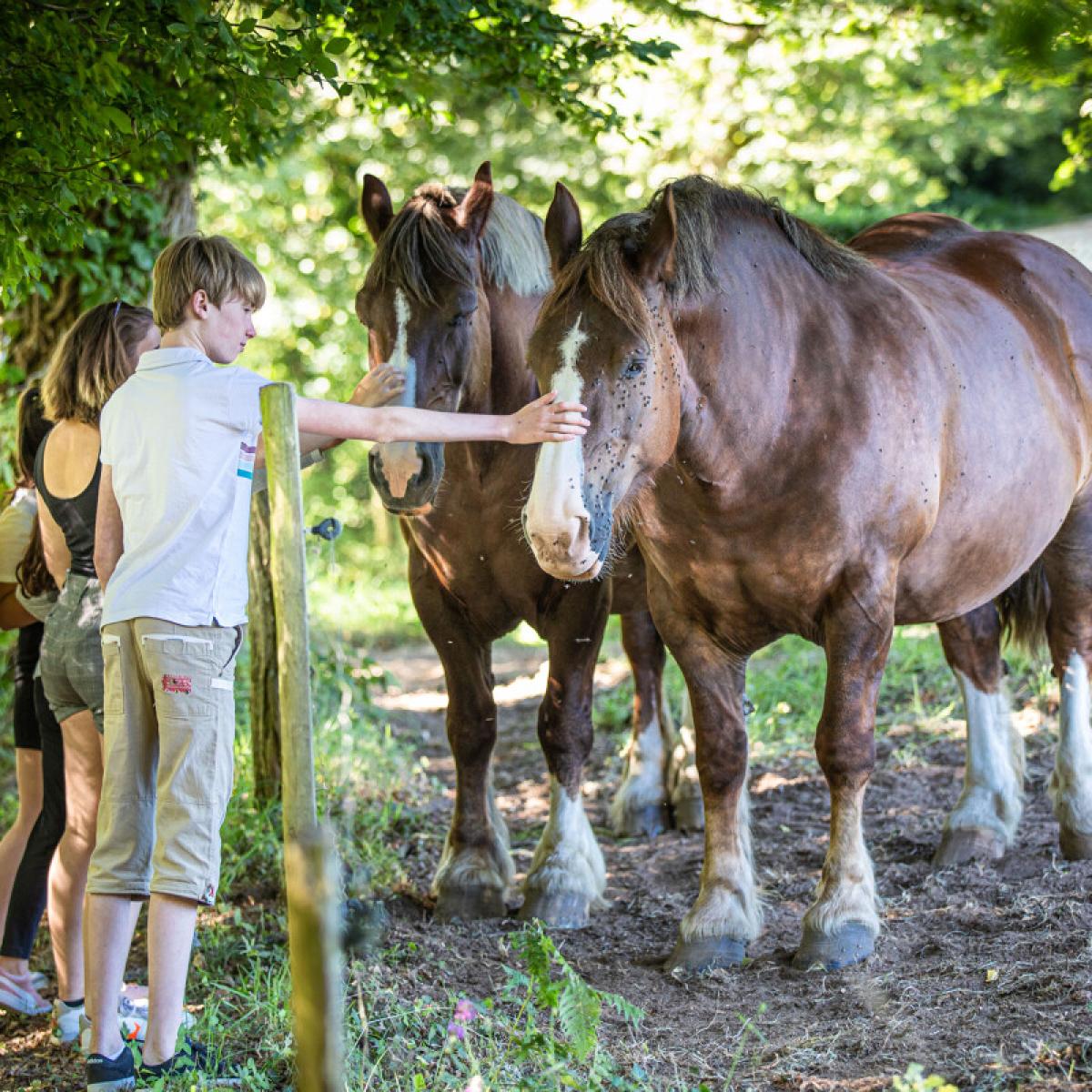 Steingut um Dol-de-Bretagne | Saint-Malo – Baie du Mont-Saint-Michel ...