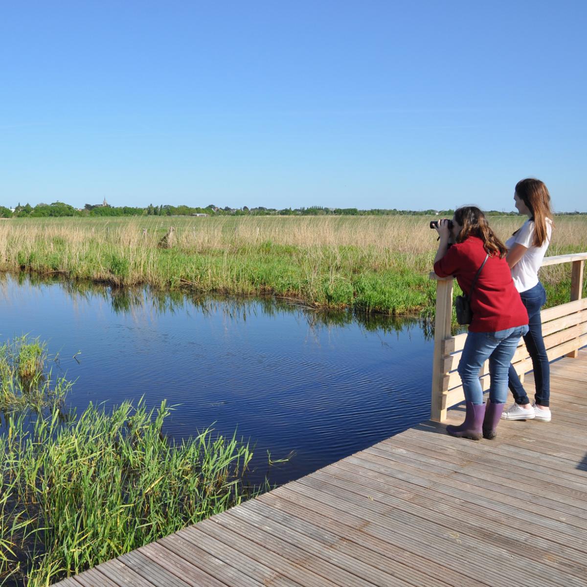 Brière Regional Natural Park | Stunning Saint-Nazaire