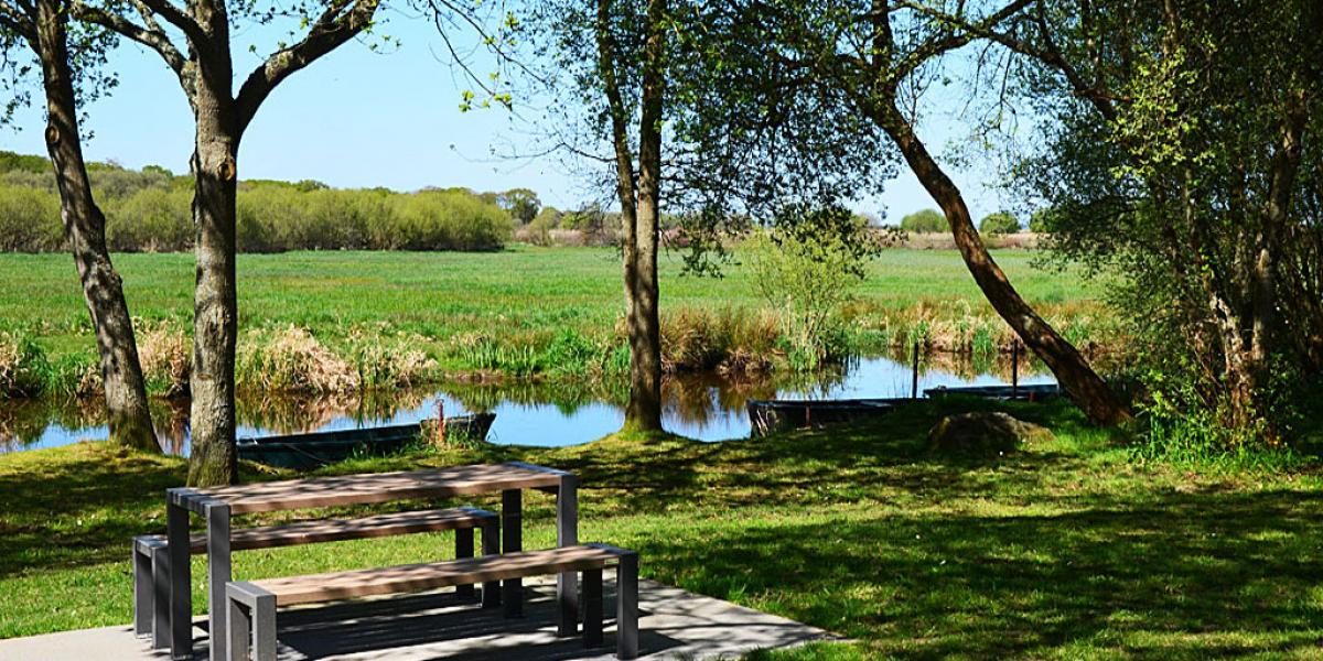 Zonas de picnic | Increíble Saint-Nazaire