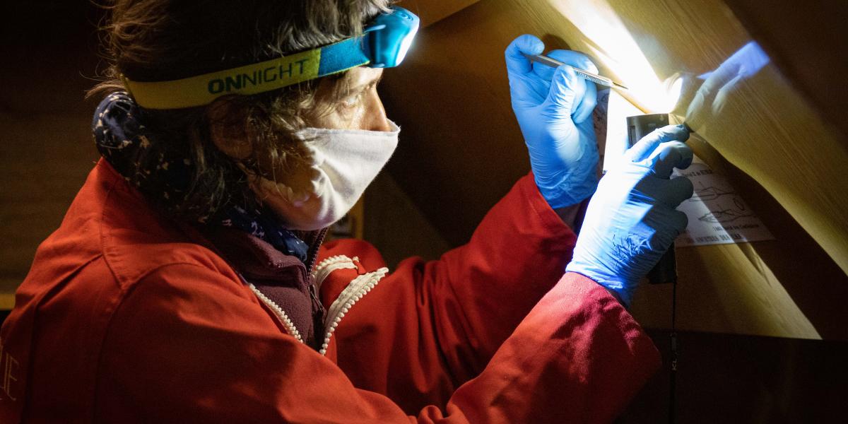 The Espadon submarine restoration work