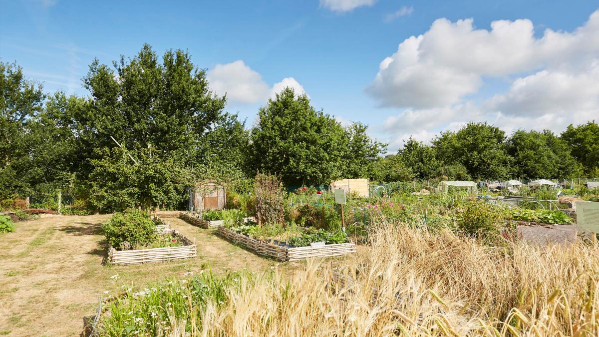 Montoir-de-Bretagne | Saint-Nazaire Renversante