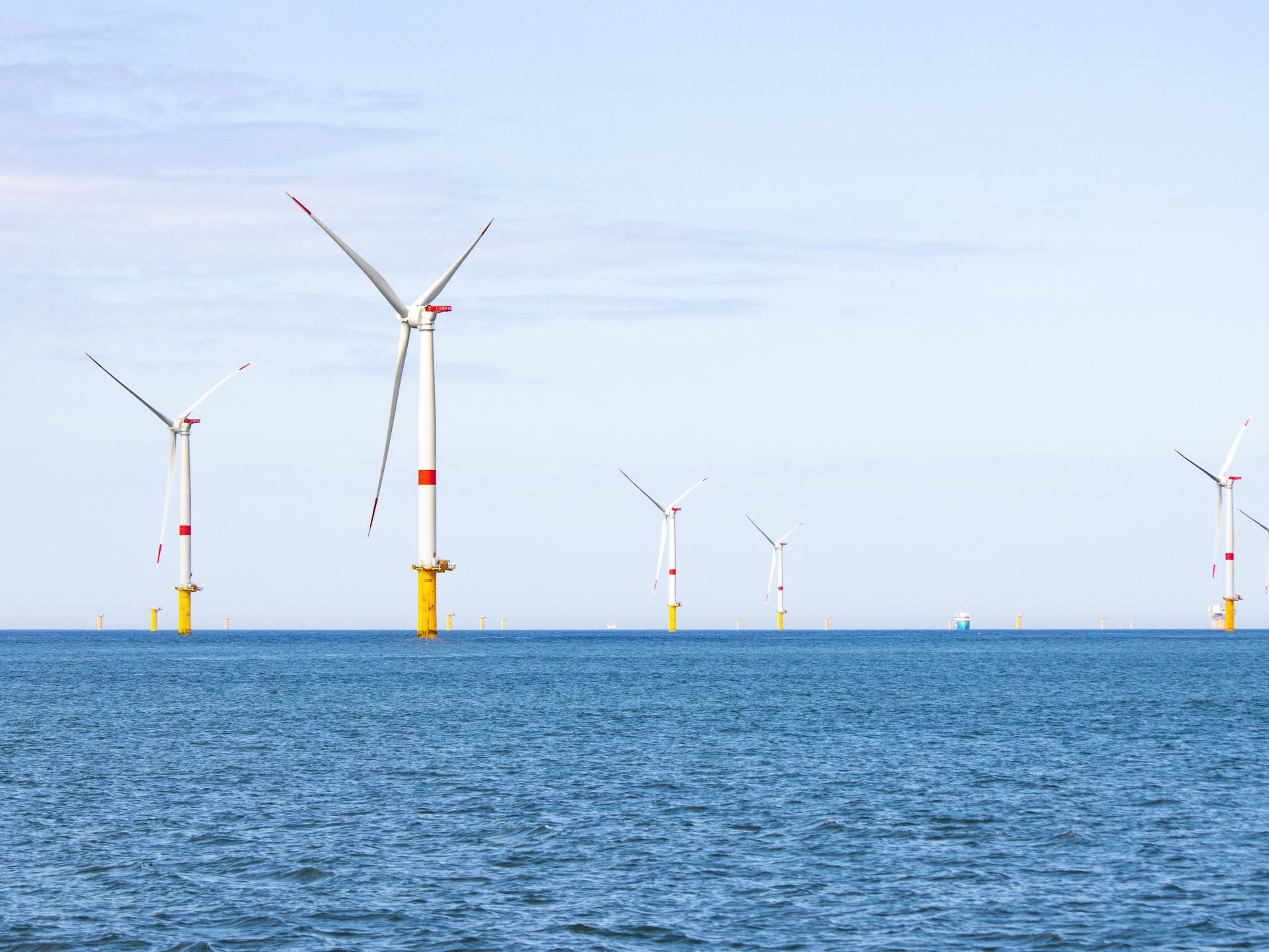 Discovery cruises | Stunning Saint-Nazaire