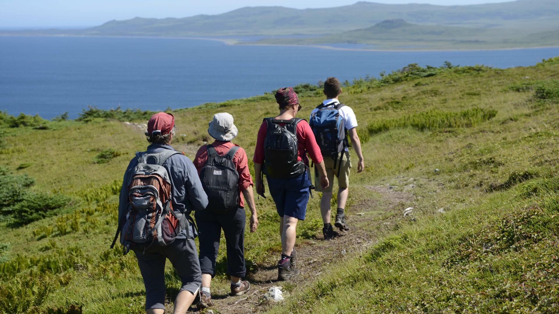 Miquelon – Langlade, l’île nature | Tourisme Saint-Pierre et Miquelon