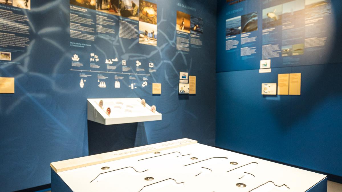 The Nature Interpretation Center | Tourism Saint-Pierre and Miquelon