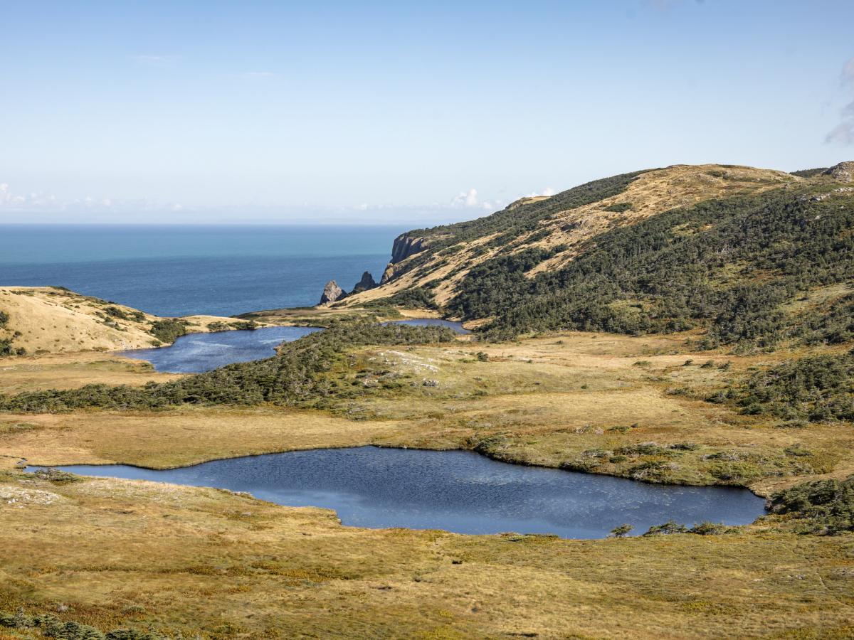 The most beautiful nature sites | Tourism Saint-Pierre and Miquelon