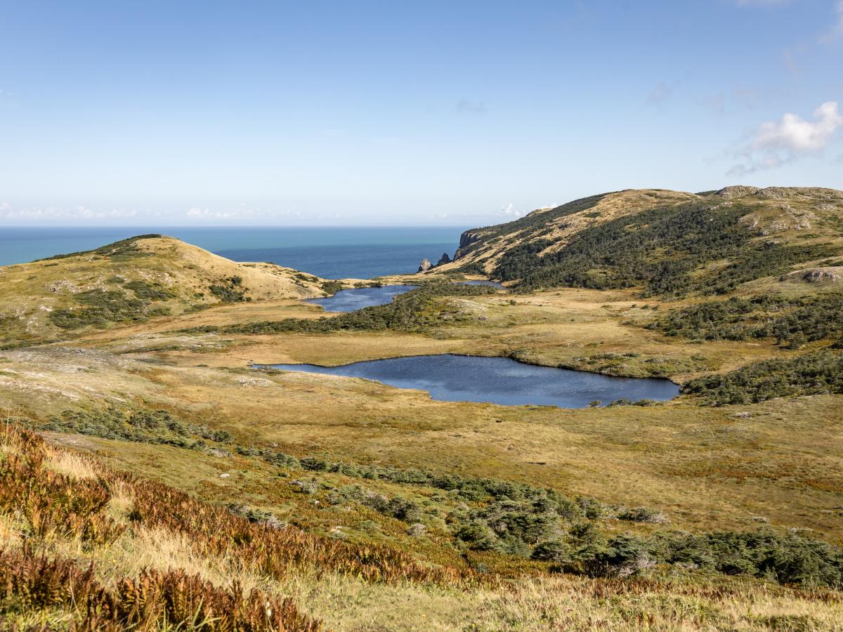 10 most beautiful sites to visit in Saint-Pierre and Miquelon | Tourism ...