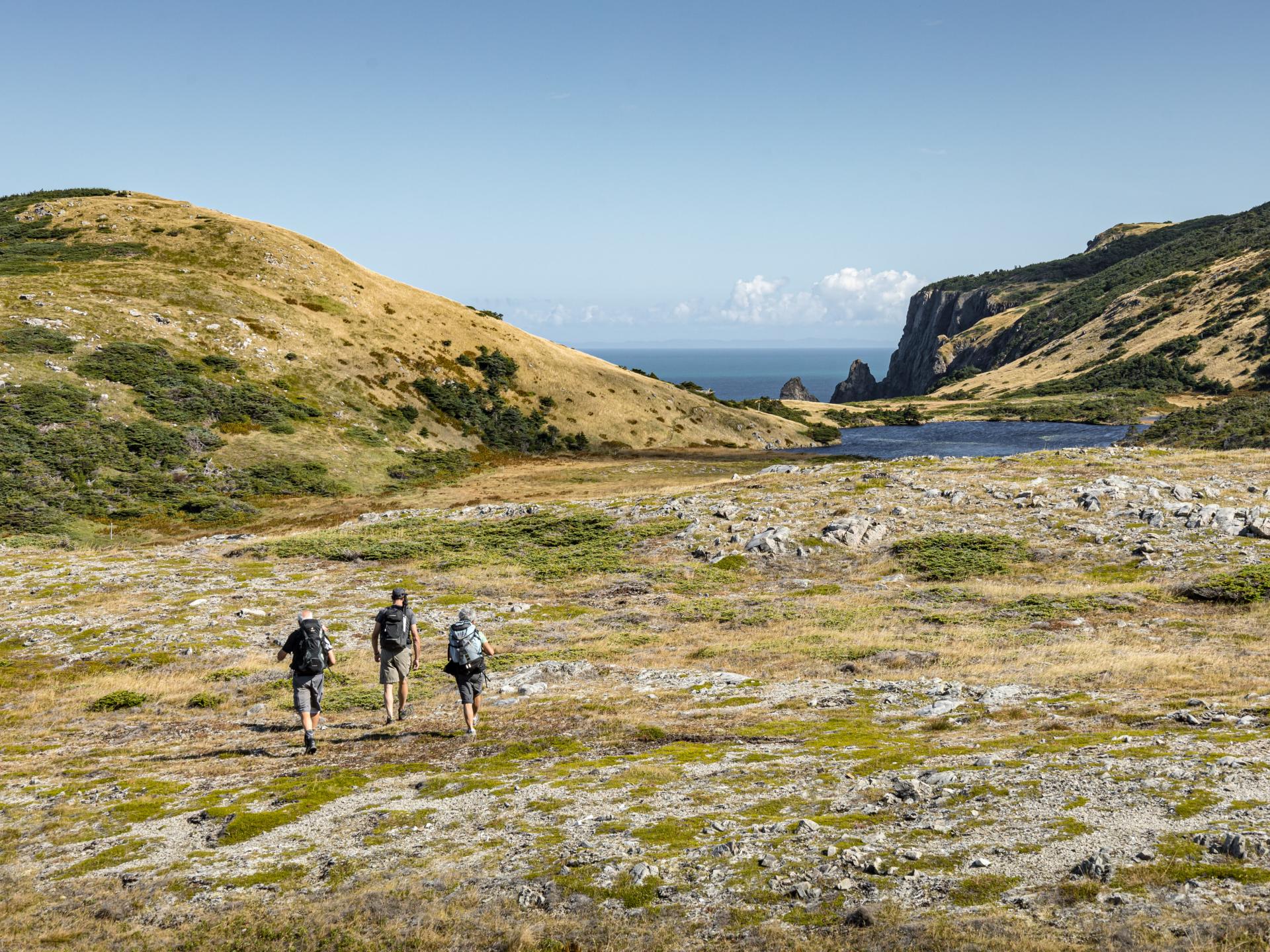 Miquelon-Langlade, the nature island | Tourism Saint-Pierre and Miquelon