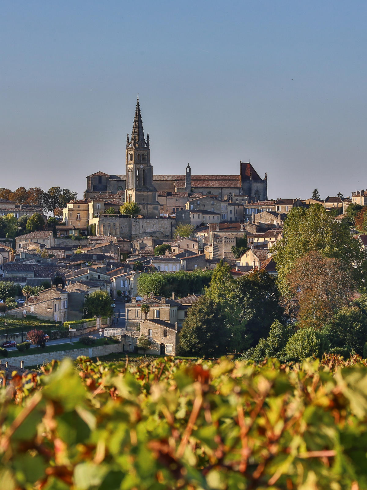 La région de Bergerac, vin et vignobles