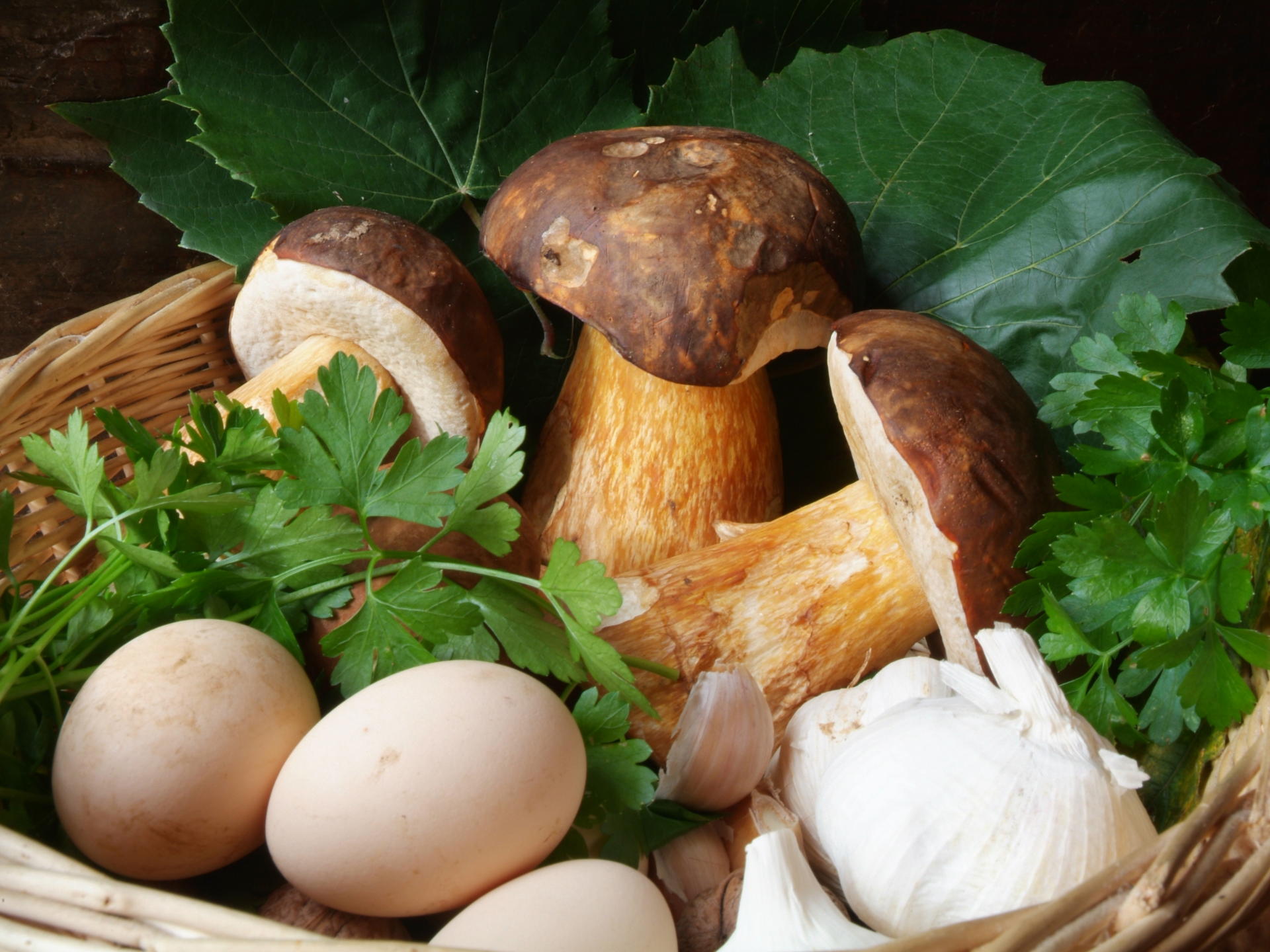 La cueillette des cèpes en Périgord Noir | Sarlat Tourisme – Périgord Noir