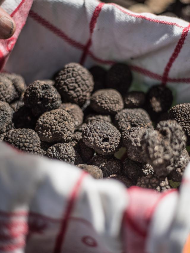 La fête de la Truffe à Sarlat, l’événement 100% gourmand du Périgord