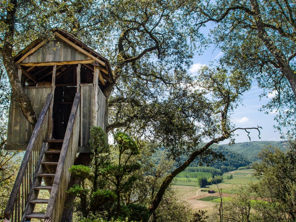 Distillerie la Salamandre (Sarlat-la-Canéda) | Sarlat Tourisme ...