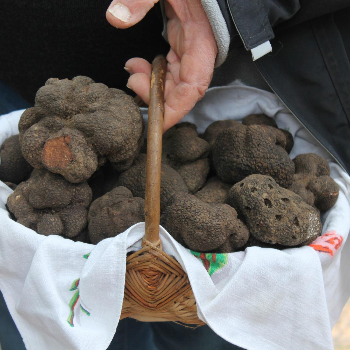 Week-end truffe en couple à Sarlat | Sarlat Tourisme – Périgord Noir