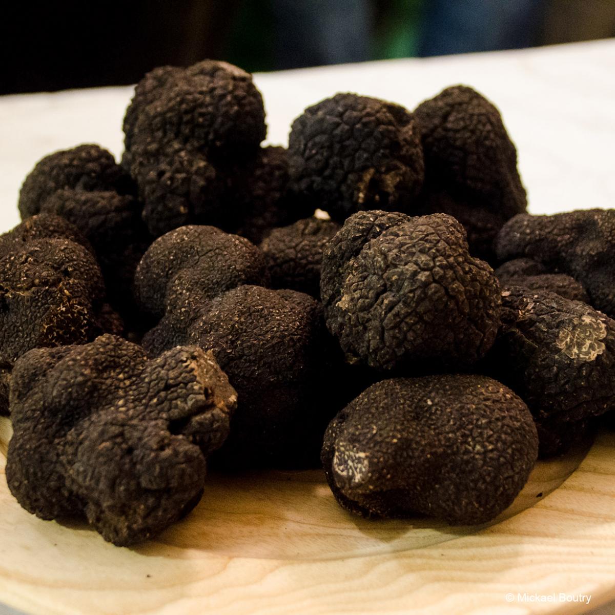 La truffedu Périgord : un week-end unique pour découvrir la truffe