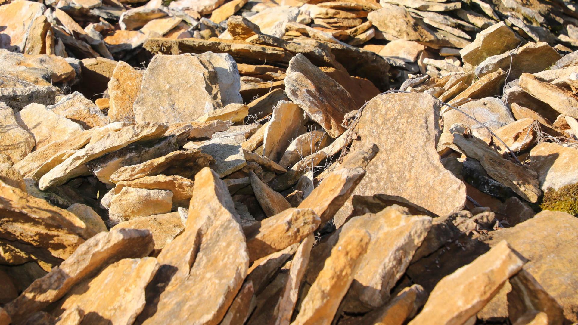 Virée en Camping Car pour découvrir le Périgord Noir