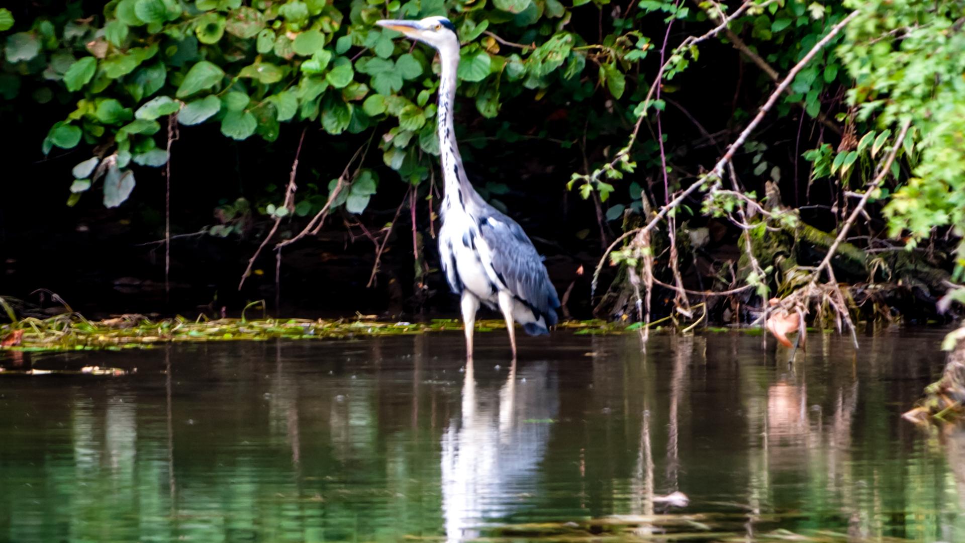 Château & croisière | Office de Tourisme Seine-Eure
