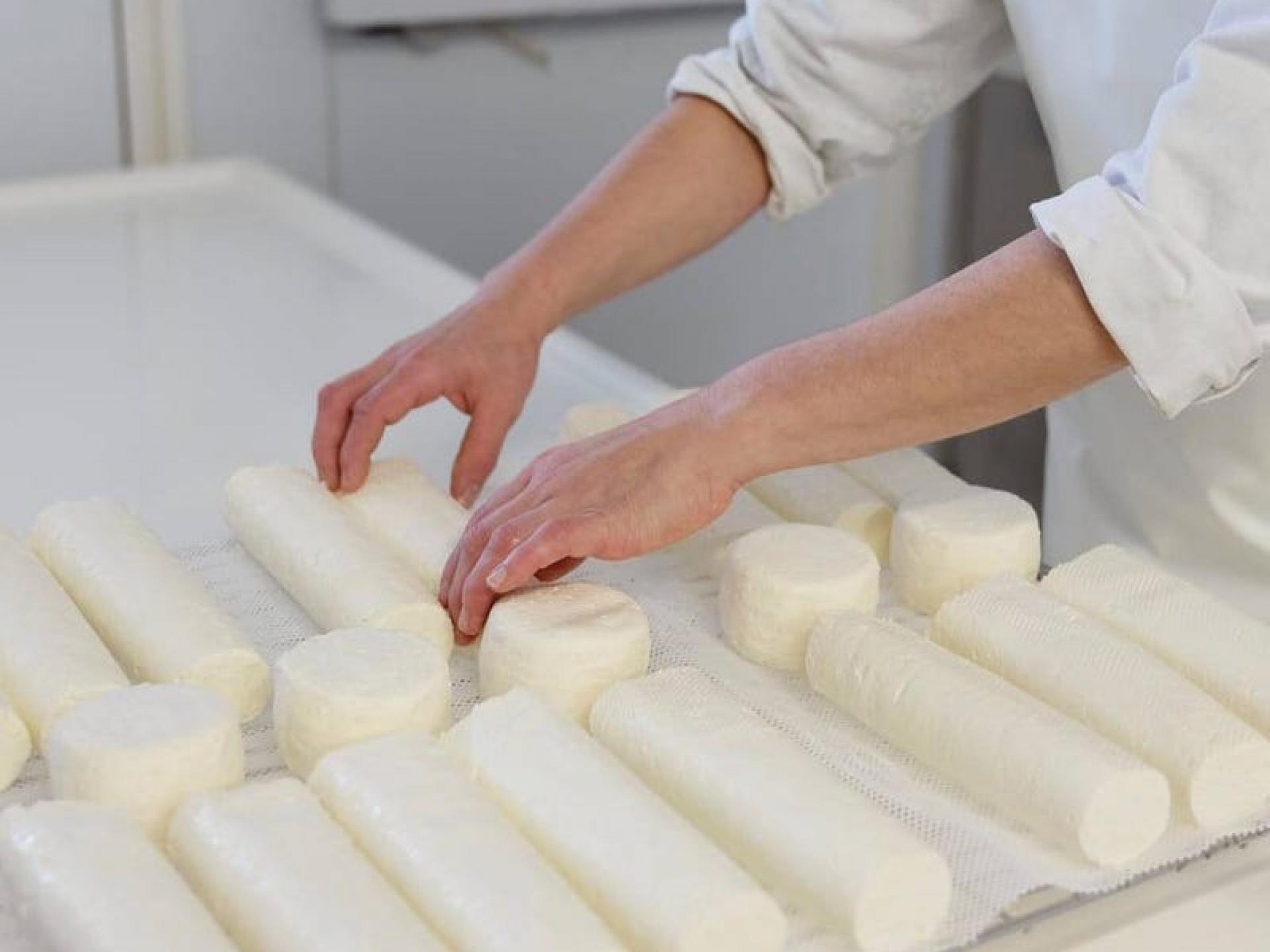 LA FROMAGERIE BEILLEVAIRE (Machecoul) | Sud Retz Atlantique Tourisme