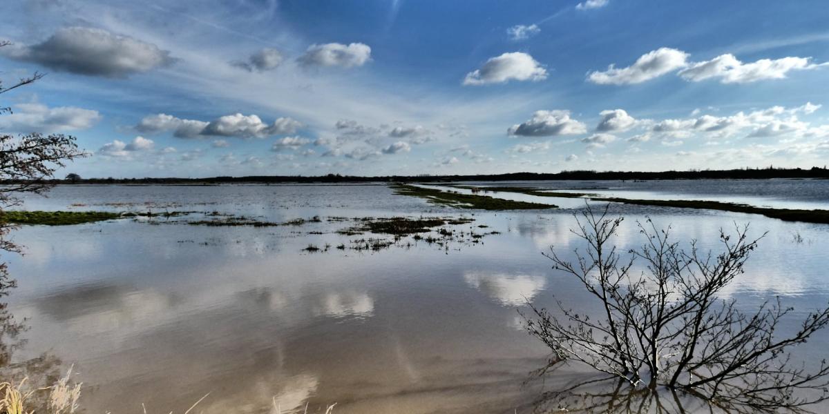 Aux portes du Marais breton | Sud Retz Atlantique Tourisme
