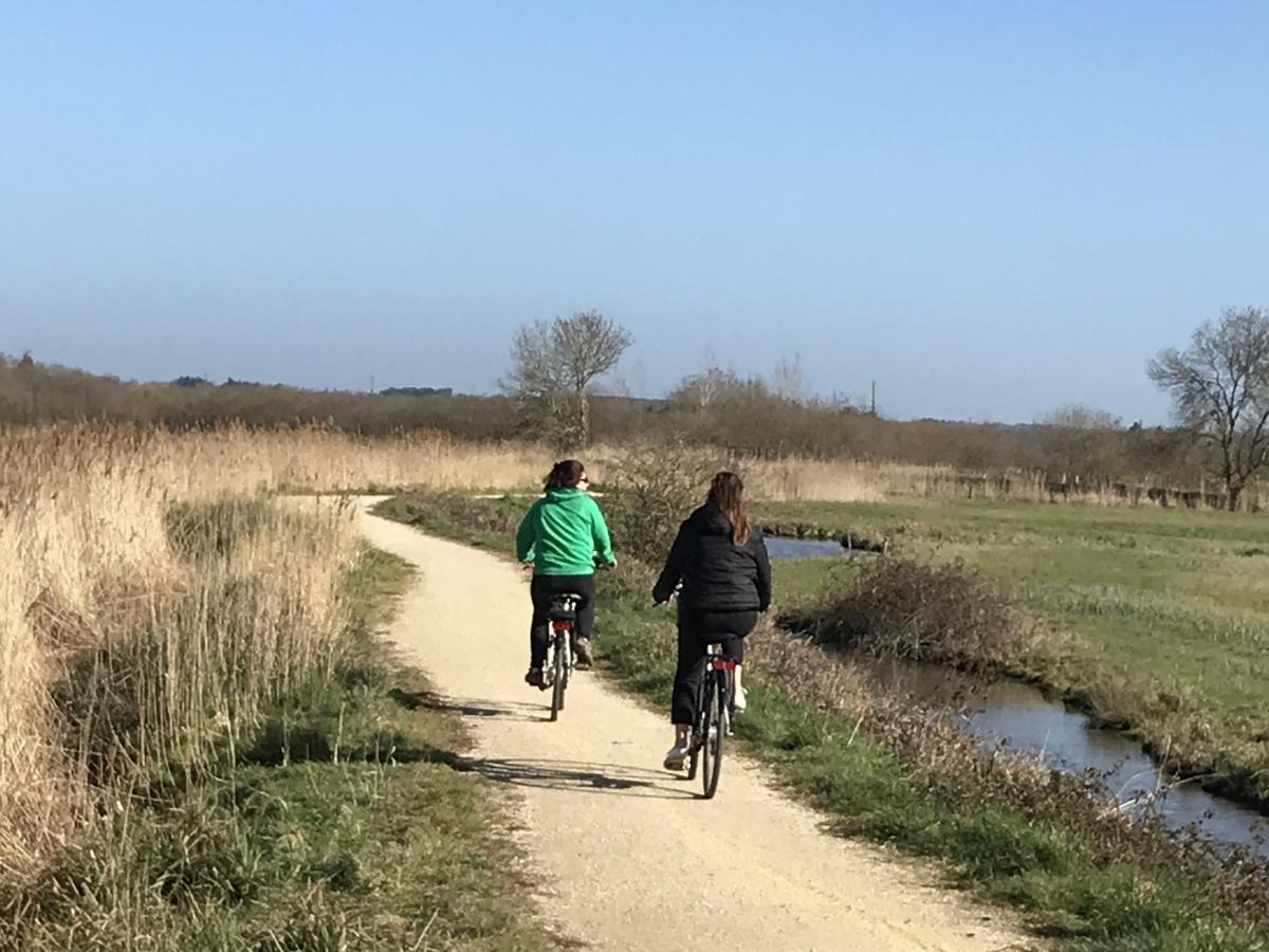 Vélo & Fromage | Sud Retz Atlantique Tourisme