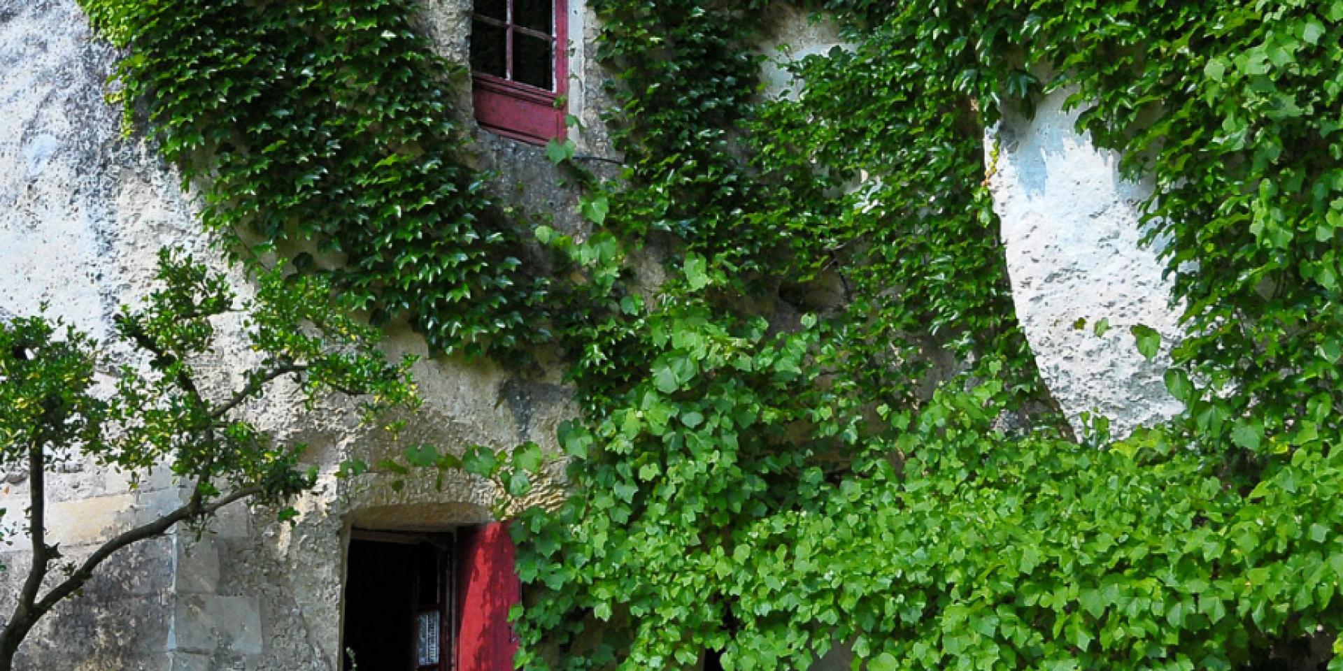 The finest ‘Tuffeau’ wine cellars | Sud Val de Loire Tourisme