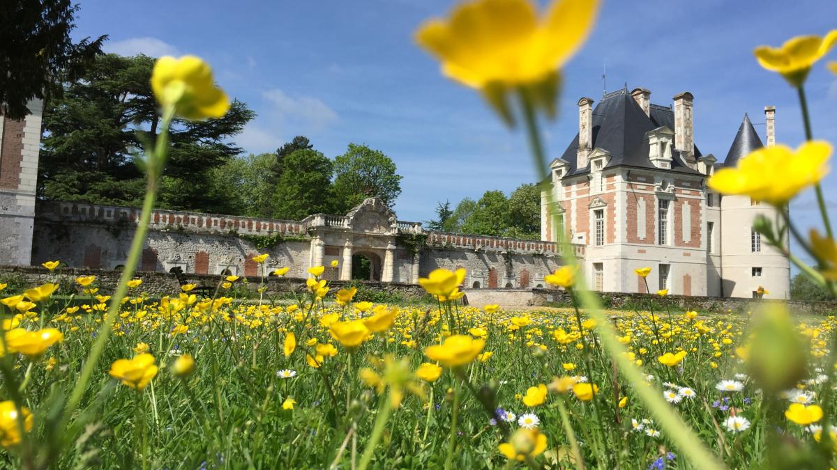 Sud Val de Loire Tourisme Accueil