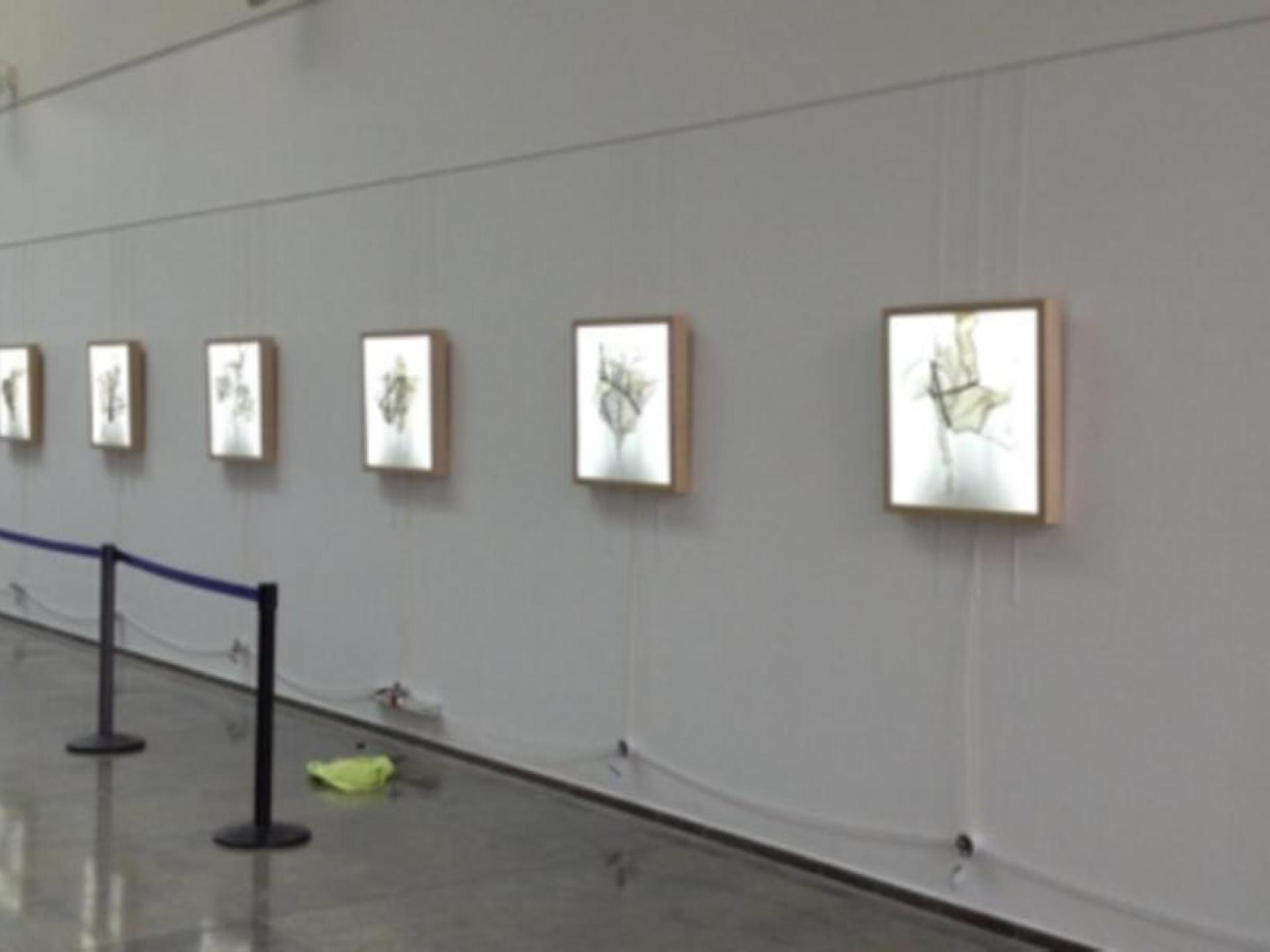 The finest ‘Tuffeau’ wine cellars | Sud Val de Loire Tourisme