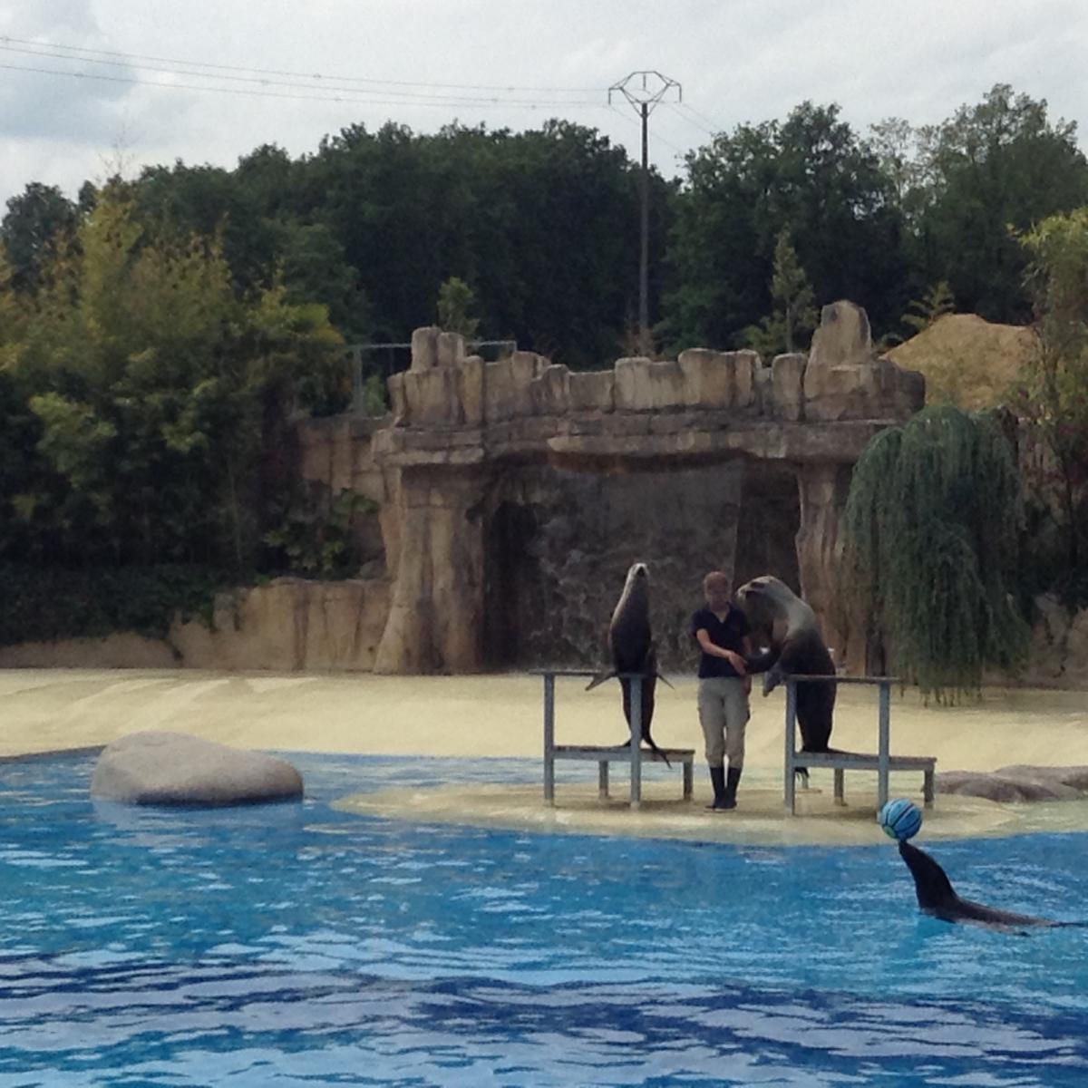 ZOO PARC DE BEAUVAL | Sud Val de Loire Tourisme