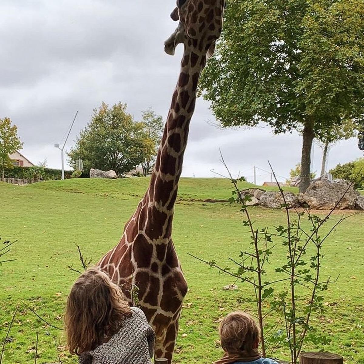 ZOO PARC DE BEAUVAL | Sud Val de Loire Tourisme
