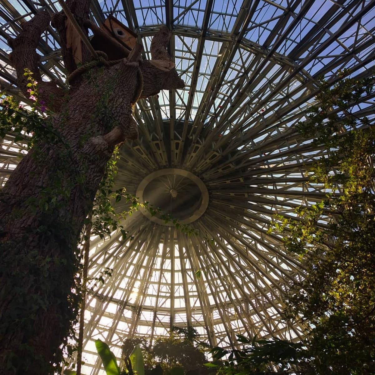 ZOO PARC DE BEAUVAL | Sud Val de Loire Tourisme