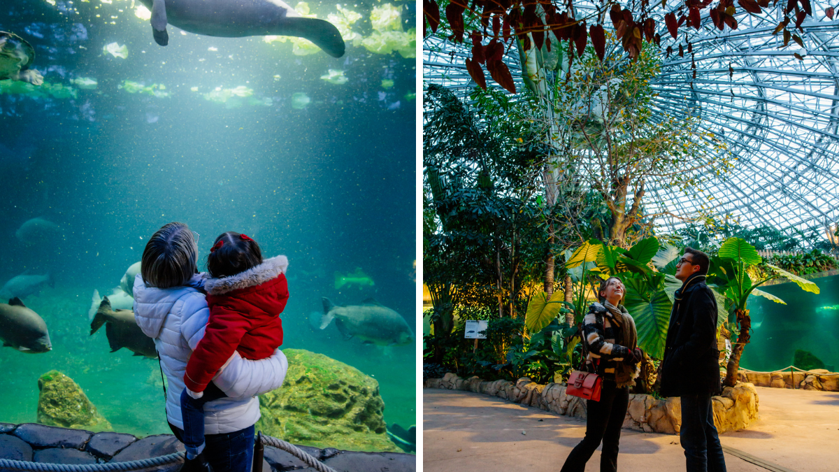 Les plus belles photos de notre visite au Zoo de Beauval