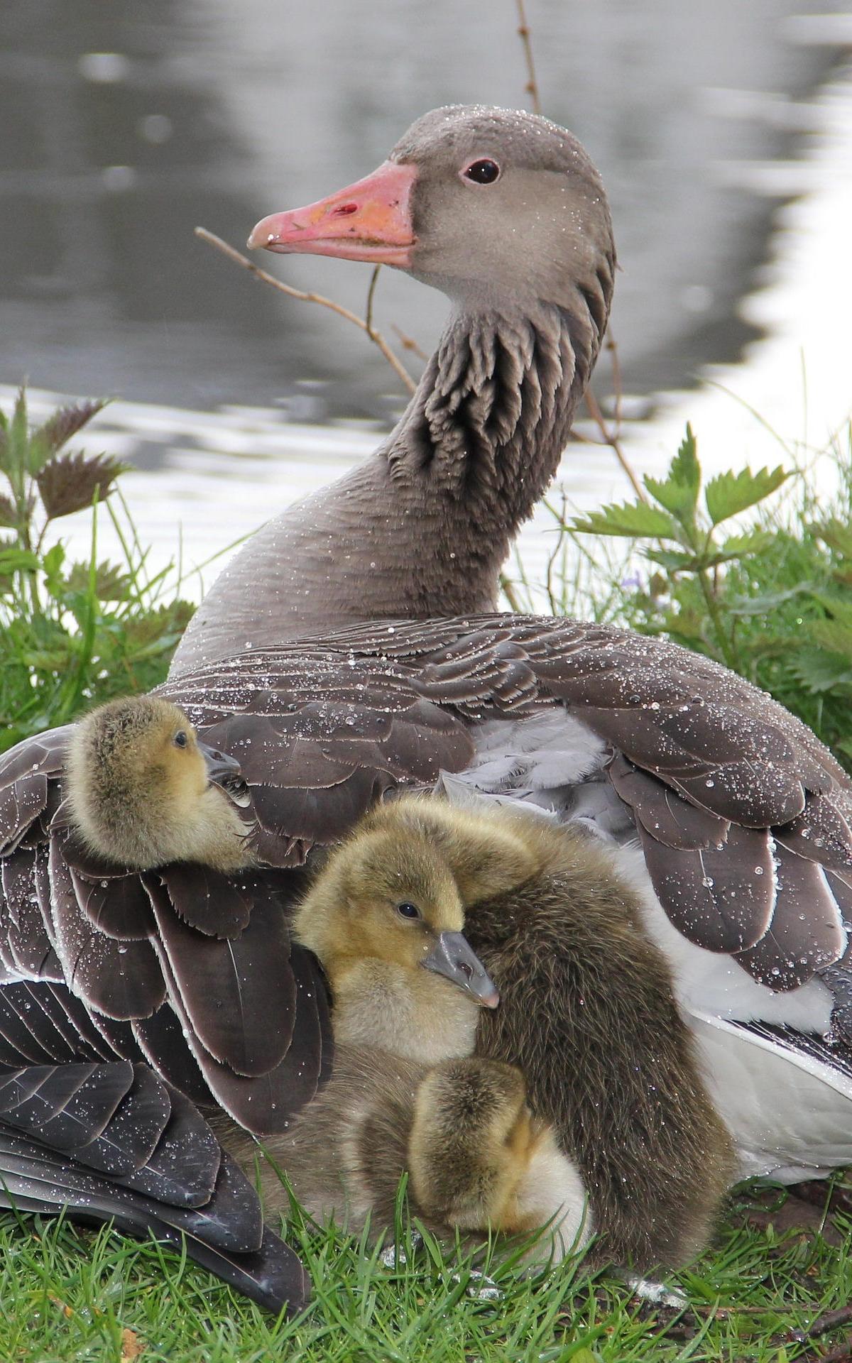 Les 10 activités incontournables en Sud Val de Loire