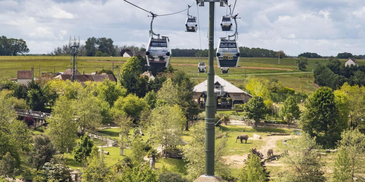 Week-end au Zoo de Beauval : le royaume animal
